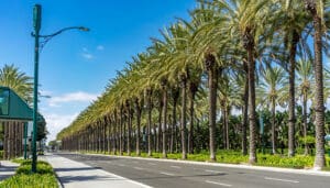 Walnut Village – Front Porch